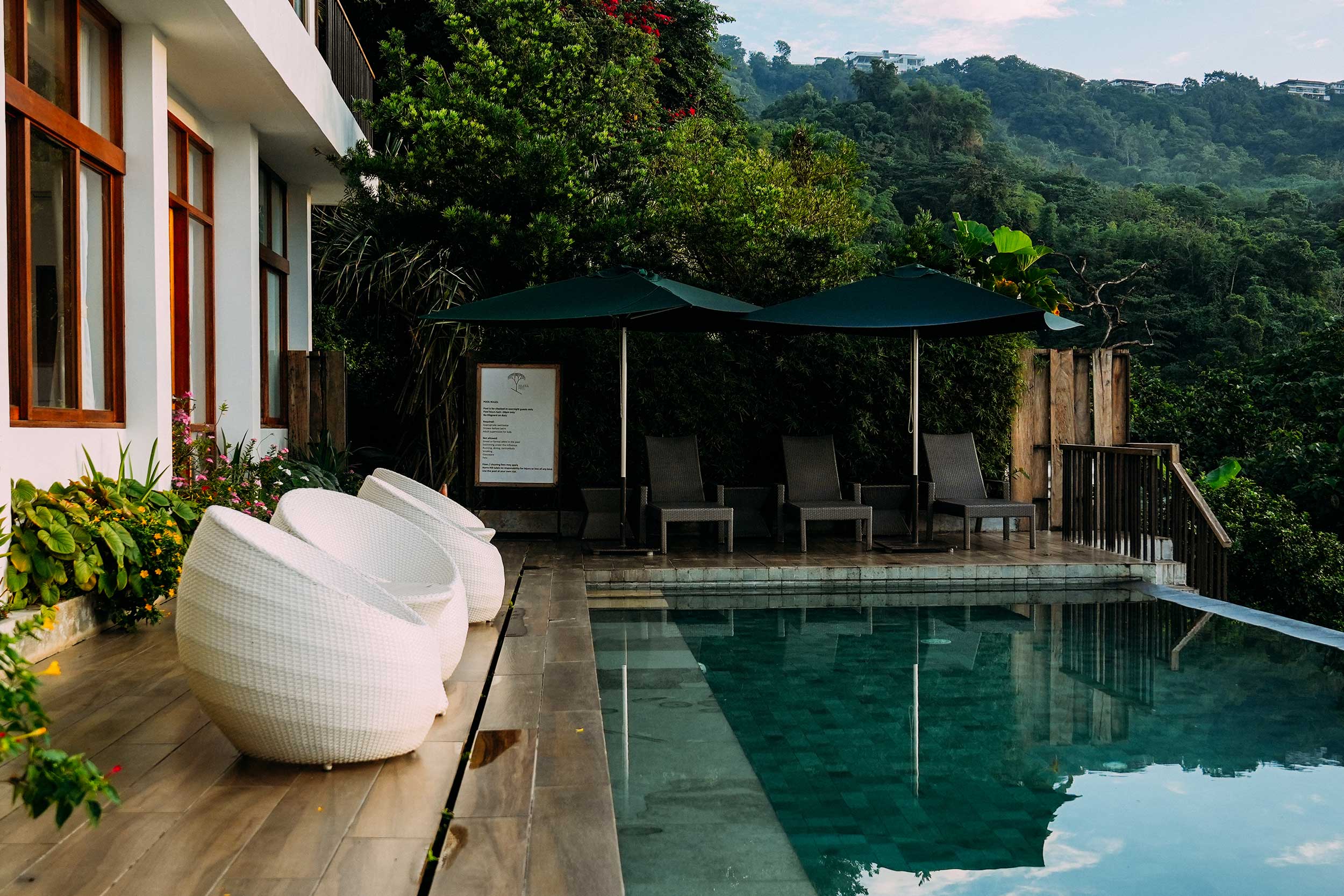 Gallery - Narra Hill